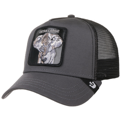 Coole Caps für Herren | Die neuesten Trends | HUT.de